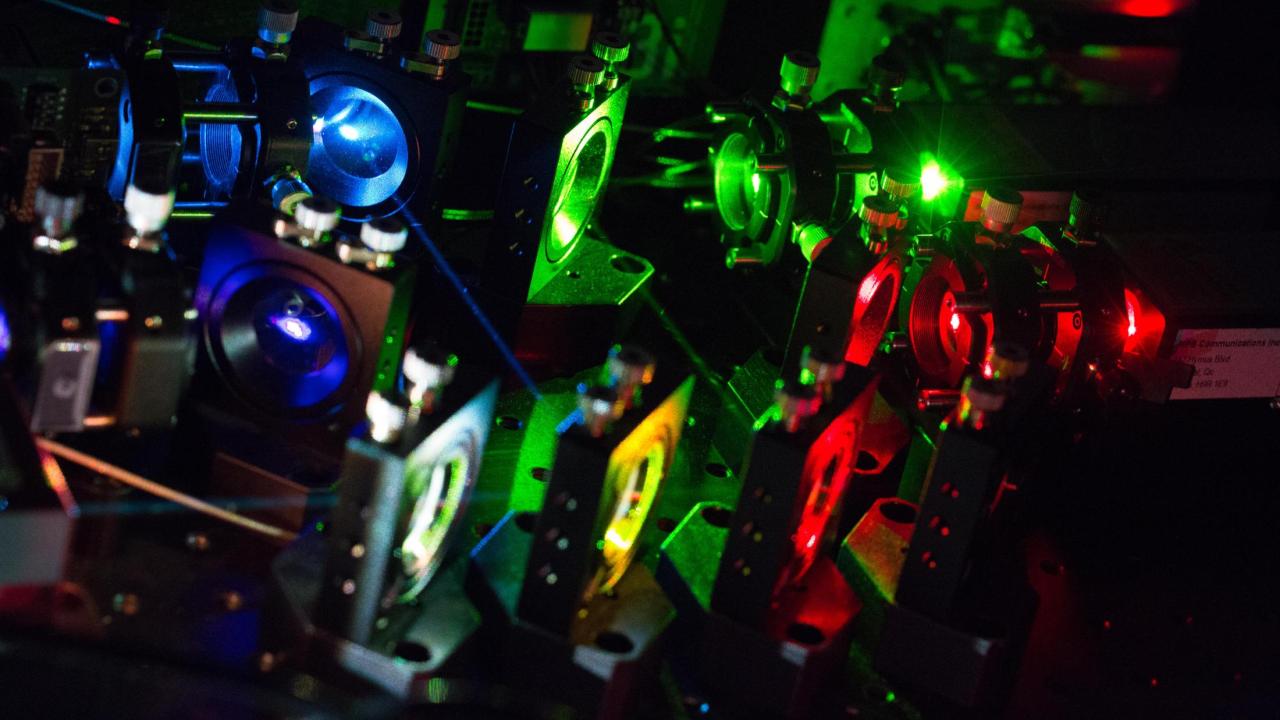 From the Dean: Something to Celebrate | College of Biological Sciences